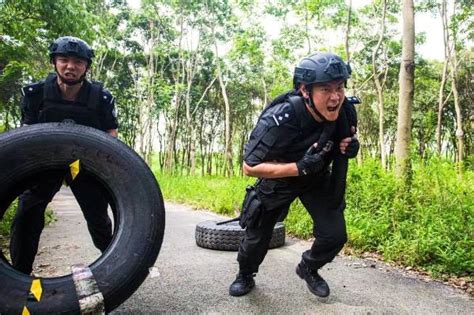 夏日正是练兵时直击宝山特警野外夏训现场 综合 特训 教育