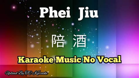 Phei Jiu 陪酒 Karaoke No Vocal Youtube Music