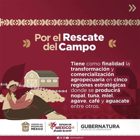 Apoyos Al Campo éstas Son Las Fechas En Las Que Campesinos Podrán