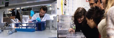 Careers And Education Michael Sars Centre Uib