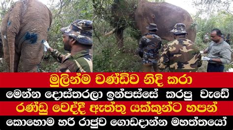 මුලින්ම චණ්ඩිව නිදි කරා මෙන්න දොස්තරලා ඉන්පස්සේ කරපු වැඩේ රණ්ඩු