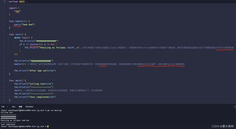 Golang异常处理 Panic、defer、recovergolang异常处理关键词 Csdn博客