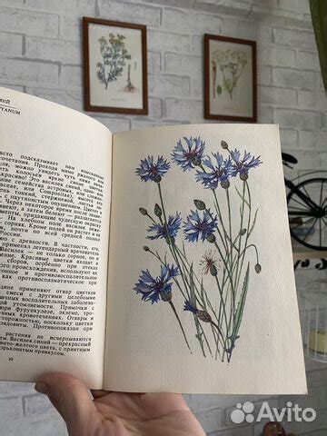 Книга с винтажными ботаническими иллюстрациями «Лекарственные... купить ...
