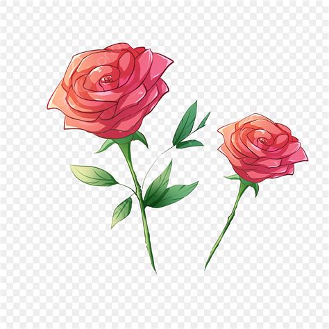 Roses Png Image Rose Red Rose Valentine S Day Png Image For Free