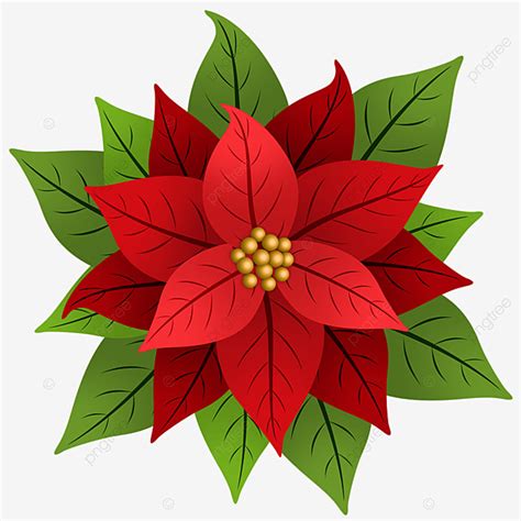 Details 100 Imagen Flor De Nochebuena Navidad Abzlocal Mx