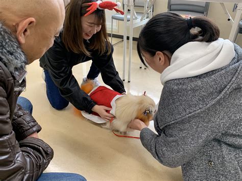 スぺシャルオープンキャンパス 【公式hp】京都動物専門学校