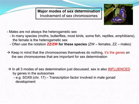 Genetics Lecture 2 Pw 2012 PPT