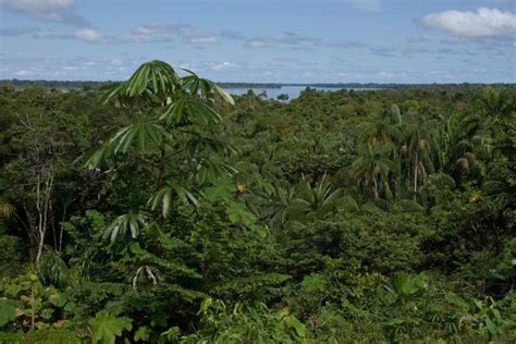 Patrick Wolff The Eye Of Photography Magazine