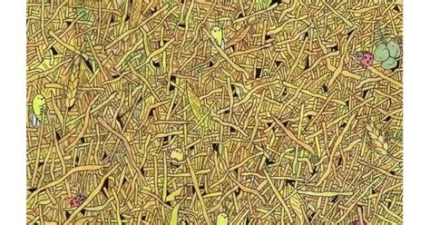 The Needle In The Haystack Challenge A Visual Test For Sharp Minds