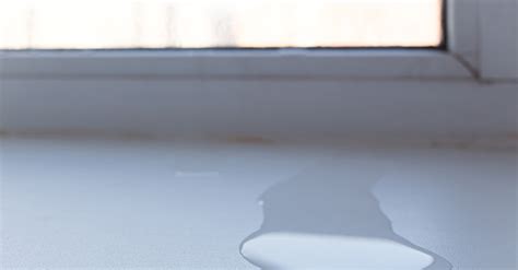 Top 10 Causes For A Household Water Leak L Preventing Water Leaks