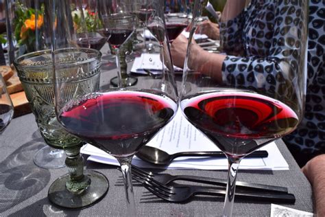 Fun Unique And Amazing Facts Cabernet Sauvignon Sip On This Juice