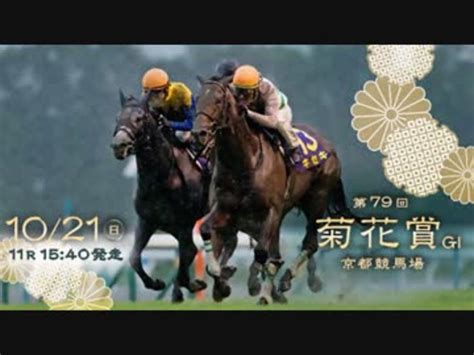 【中央競馬】プロ馬券師よっさんの第79回 菊花賞（gⅠ） ニコニコ動画