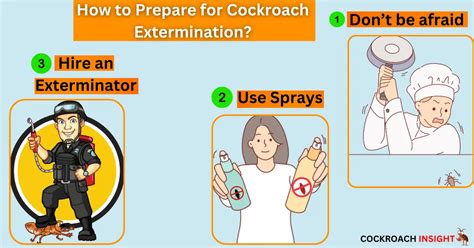 Ready Your Home For Cockroach Extermination