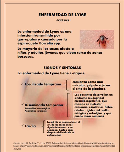 Cieas Mx ¿conoces La Enfermedad De Lyme La Enfermedad
