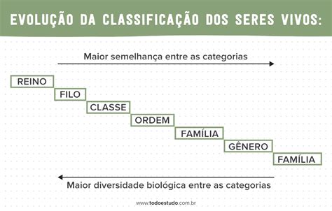 Classificação dos seres vivos conheça como é feita