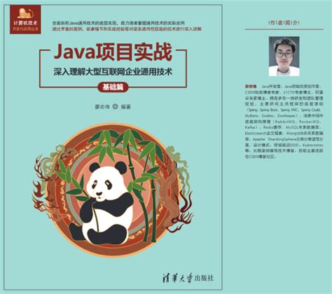 Java项目实战——深入理解大型互联网企业通用技术（基础篇）百度百科