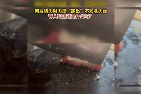 网友切肉时肉里跑出不知名肉丝有人知道这是什么吗网友买肉送肉多划算 网友 肉丝 不知名
