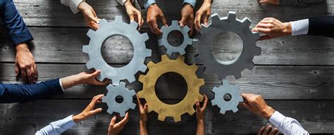 Gratitude Service And Teamwork Ignite Sales Mentoring