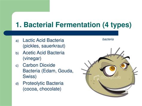 Ppt Fermentation Powerpoint Presentation Free Download Id1033209