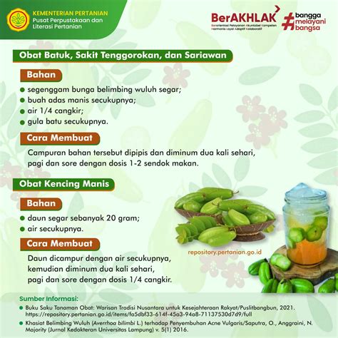 Manfaat Dan Khasiat Belimbing Wuluh Averrhoa Bilimbi L Tanaman Herbal