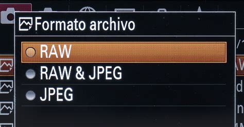 RAW o JPEG Qué formato elegir para guardar tus fotos