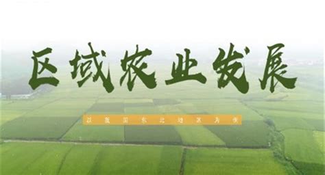 区域工业化与城市化ppt课件高中地理人教版高一必修三下载 Lfppt