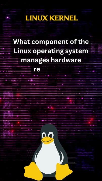Linux Byte Bites Engaging Question In Less Than A Minute