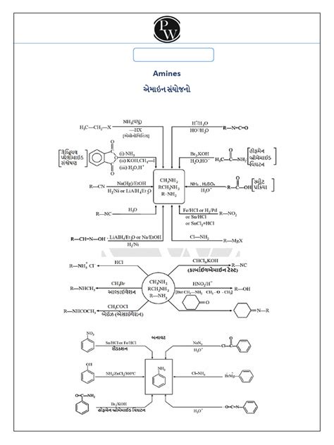 Amines Short Notes Pdf