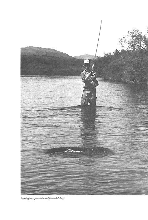The Orvis Fly Fishing Guide 1984 Rosenbauer Tom