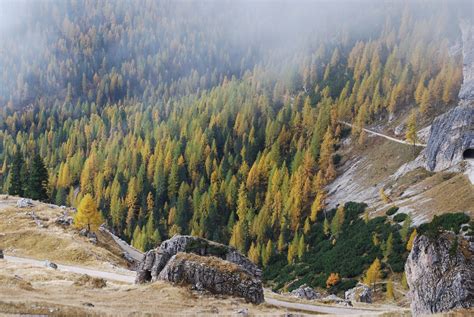 景观 山 森林 Pixabay上的免费照片 Pixabay
