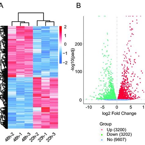 Hierarchical Cluster Analysis And Volcano Plot Of Differentially
