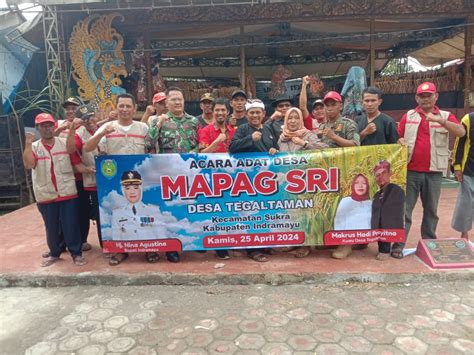Mapag Sri Desa Tegaltaman Tradisi Sambut Panen Raya Kabar Pemuda