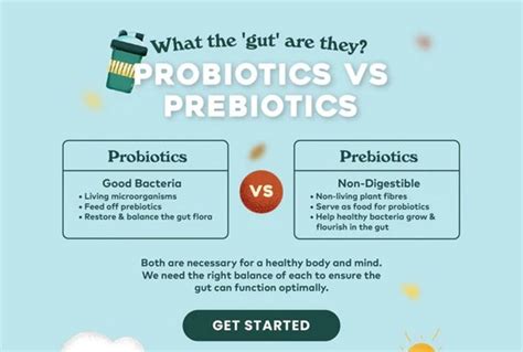 Prebiotic Vs Probiotics Do We Need Both By Health Buyer Club Medium