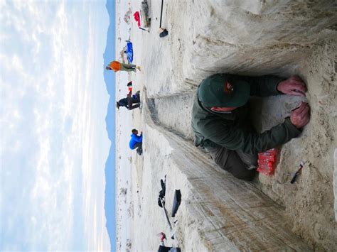 Further Evidence Points To Footprints In New Mexico Being The Oldest