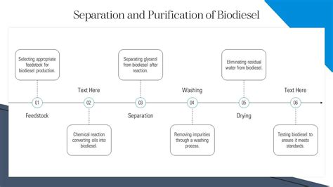 Understanding The Transesterification Process A Comprehensive Guide To