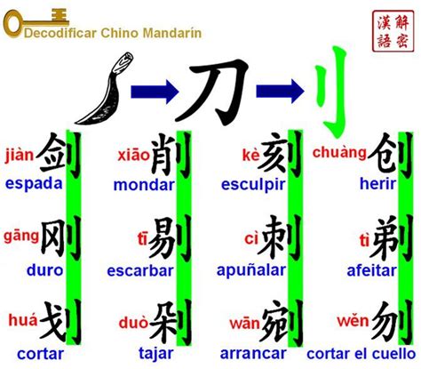 Cuchillo 刀‬ การศึกษา