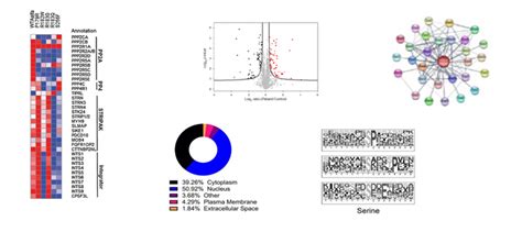 Images — Laboratory Of Protein Phosphorylation And Proteomics