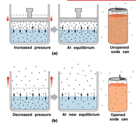 Week Diffusion And Gas Transport Flashcards Quizlet