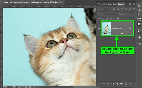 Remove Image Background Adobe Photo Infoupdate Org