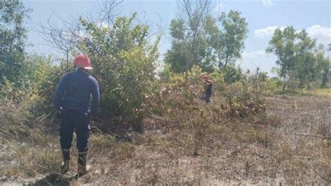 Daftar Kebakaran Hutan Dan Lahan Di Belitung Kelender Juli 2024 BPBD
