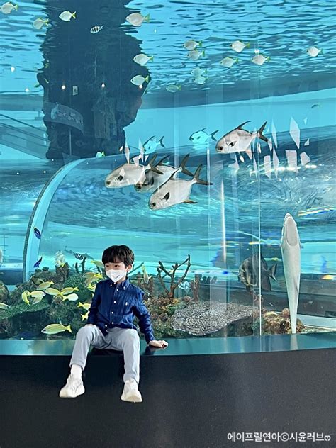 부산 아이와 가볼만한곳♡수족관 있는 영도 국립해양박물관층별안내 주차 등 네이버 블로그
