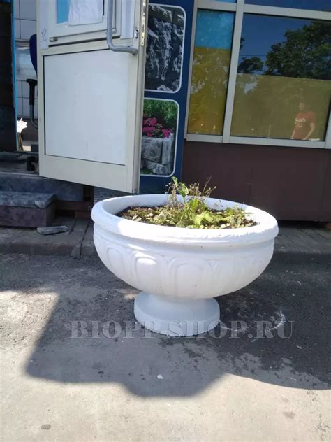 Большой вазон для выращивания цветов