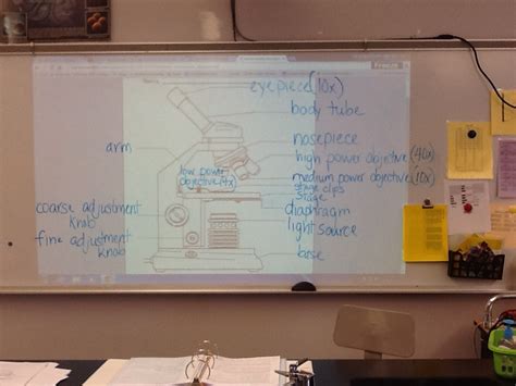 Microscopes And The Cell Theory Mrs Musto 7th Grade Life Science