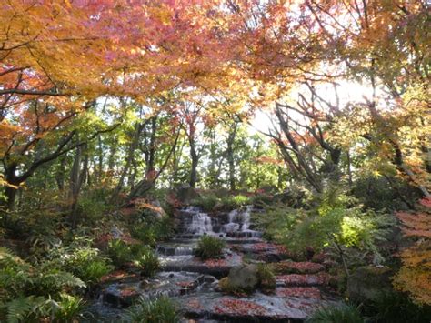 姫路城西御屋敷跡庭園 好古園 By 磯釣り師100 （id：12121813） 写真共有サイトphotohito