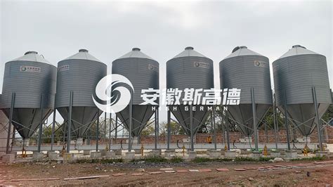 投产在即，安徽斯高德助力花都区72万头生猪项目顺利验收 Anhuisigaode