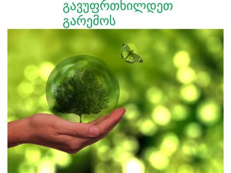 Book Creator გავუფრთხილდეთ გარემოს