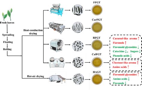 Illustrators Of Variations On Volatile And Nonvolatile Metabolites In Download Scientific