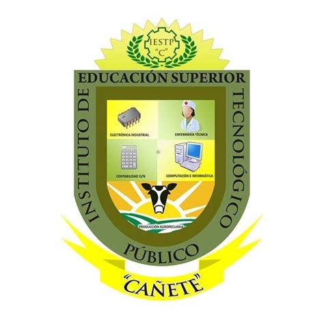 Instituto De Educación Superior Tecnológico Público Cañete 2024