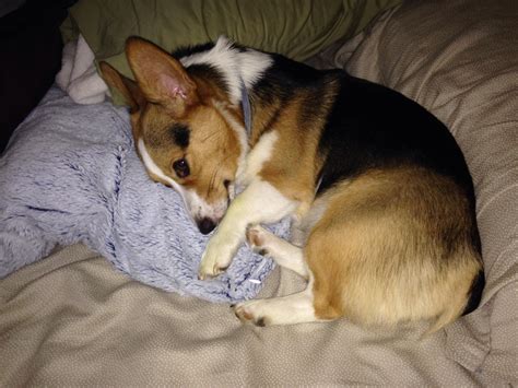 Guess Im Sleeping Somewhere Else Tonight Since She Stole My Side Of