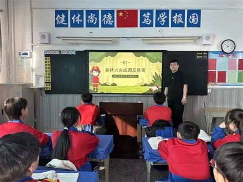 聚焦春防丨县林草局举办森林防火进校园主题宣传活动火灾知识视频